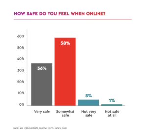 Young people and adults are poles apart on internet safety - Digital ...